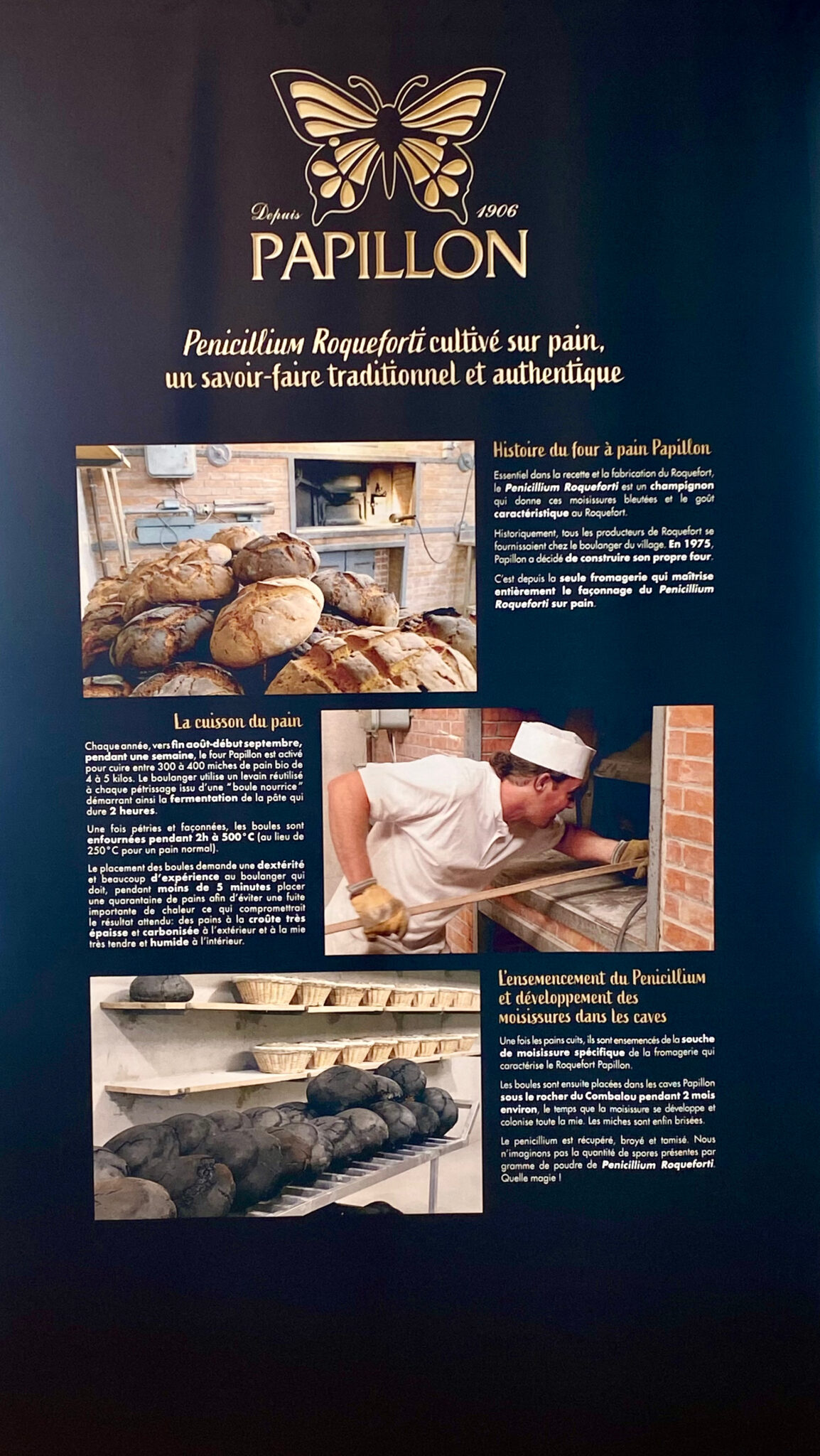 Ein Besuch bei Roquefort Papillon – Wo der berühmte Blauschimmelkäse ...